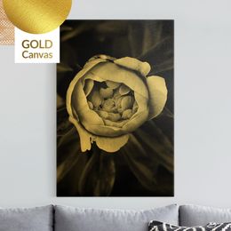 Bilderwelten Leinwandbild - Hochformat Pfingstrosenbl&uuml;te vor Bl&auml;ttern Schwarz Wei&szlig;