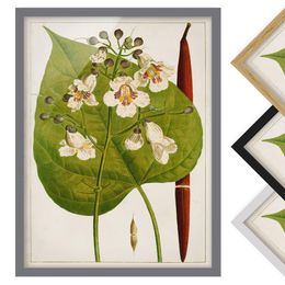 Bilderwelten Bild mit Rahmen - Hochformat Tableau Blatt Bl&uuml;te Frucht V