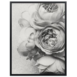 Bilderwelten Leinwandbild - Hochformat Pfingstrosenbl&uuml;ten Schwarz Wei&szlig;