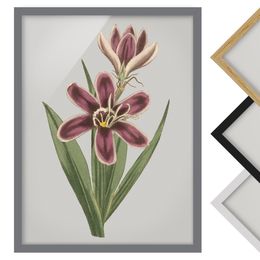 Bilderwelten Bild mit Rahmen - Hochformat Florale Schmuckst&uuml;cke II