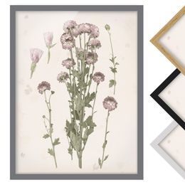 Bilderwelten Bild mit Rahmen - Hochformat Herbarium in rosa I