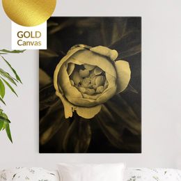 Bilderwelten Leinwandbild - Hochformat Pfingstrosenbl&uuml;te vor Bl&auml;ttern Schwarz Wei&szlig;