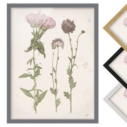 Bilderwelten Bild mit Rahmen - Hochformat Herbarium in rosa III