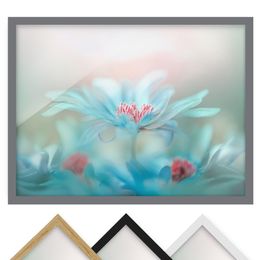 Bilderwelten Bild mit Rahmen - Querformat Zarte Bl&uuml;ten in Pastell