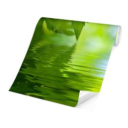 Fototapete Blumen Green Ambiance III