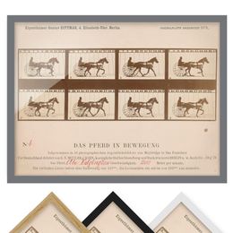 Bilderwelten Bild mit Rahmen - Querformat Eadweard Muybridge - Das Pferd in Bewegung