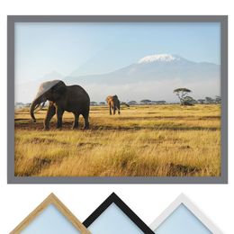 Bilderwelten Bild mit Rahmen - Querformat Elefanten vor dem Kilimanjaro in Kenia