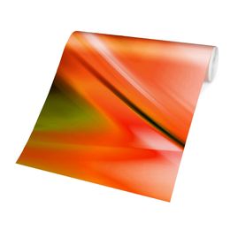 Bilderwelten Fototapete Vliestapete Abstrakt Wandtapete einzigartig - Lucky Day - Deko Wohnzimmer Schlafzimmer