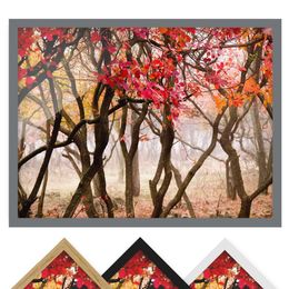 Bilderwelten Bild mit Rahmen - Querformat Japan im Herbst