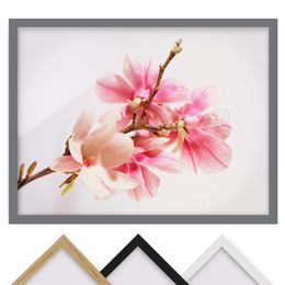 Bilderwelten Bild mit Rahmen - Querformat Magnolienbl&uuml;ten