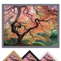 Bilderwelten Bild mit Rahmen - Querformat Japanischer Garten