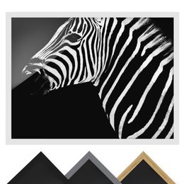 Bilderwelten Bild mit Rahmen Tiere einzigartig Abstrakt inkl. Rahmung - Zebra Safari Art - Deko Wohnzimmer Schlafzimmer