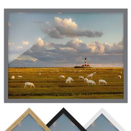 Bilderwelten Bild mit Rahmen - Querformat Nordsee Leuchtturm mit Schafsherde
