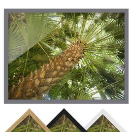 Bilderwelten Bild mit Rahmen - Querformat Tropical Island