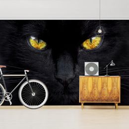Bilderwelten Fototapete Hypnotischer Blick
