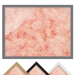 Bilderwelten Bild mit Rahmen - Querformat Rosmarin Rosa