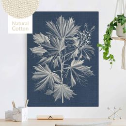 Bilderwelten Leinwandbild - Hochformat Denim Pflanzenstudie V
