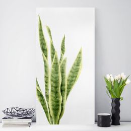 Bilderwelten Leinwandbild - Hochformat Bogenhanf Aquarell