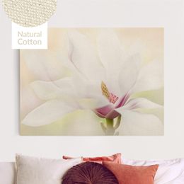 Bilderwelten Leinwandbild - Querformat Zarte Magnolienbl&uuml;te