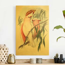 Bilderwelten Leinwandbild - Hochformat Pastell Papageien I