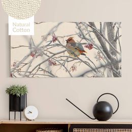 Bilderwelten Leinwandbild - Querformat Seidenschwanz im Baum