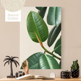 Bilderwelten Leinwandbild - Hochformat Gummibaum