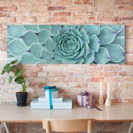 Bilderwelten Leinwandbild - Panorama Kaktus Agave