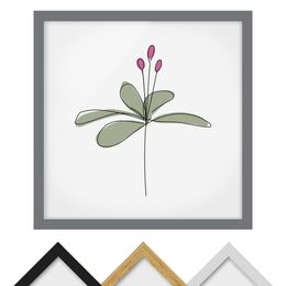 Bilderwelten Bild mit Rahmen - Quadrat Seerose Line Art