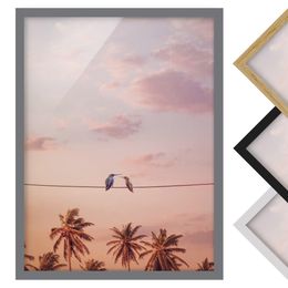 Bilderwelten Bild mit Rahmen - Hochformat Sonnenuntergang mit Kolibris