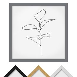 Bilderwelten Bild mit Rahmen - Quadrat Line Art Pflanze Bl&auml;tter Schwarz Wei&szlig;