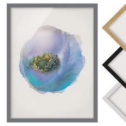 Bilderwelten Bild mit Rahmen - Hochformat Wasserfarben - Anemone auf dem Fluss