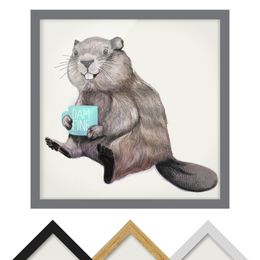 Bilderwelten Bild mit Rahmen - Quadrat Illustration Biber mit Kaffeetasse