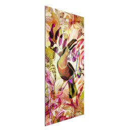 Bilderwelten Alu-Dibond Outdoor Bild Bunte Collage - Tukan