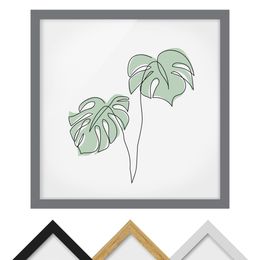 Bilderwelten Bild mit Rahmen - Quadrat Bl&auml;tter Monstera Line Art