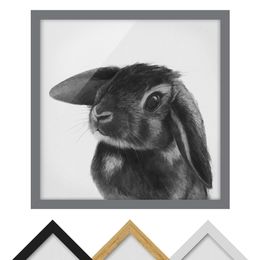 Bilderwelten Bild mit Rahmen - Quadrat Illustration Hase Schwarz Wei&szlig; Zeichnung