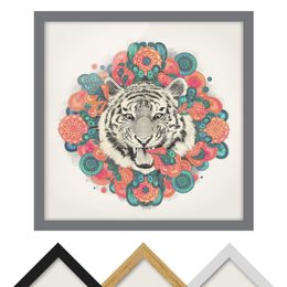 Bilderwelten Bild mit Rahmen - Quadrat Illustration Tiger Zeichnung Mandala Paisley