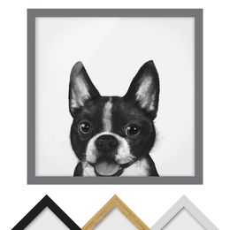 Bilderwelten Bild mit Rahmen - Quadrat Illustration Hund Boston Schwarz Wei&szlig; Malerei