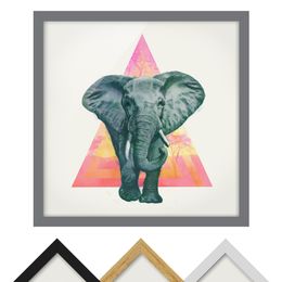 Bilderwelten Bild mit Rahmen - Quadrat Illustration Elefant vor Dreieck Malerei