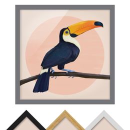 Bilderwelten Bild mit Rahmen - Quadrat Illustration Vogel Tukan Malerei Pastell
