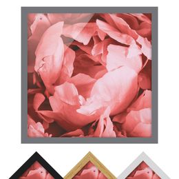 Bilderwelten Bild mit Rahmen - Quadrat Pfingstrose Bl&uuml;te Koralle