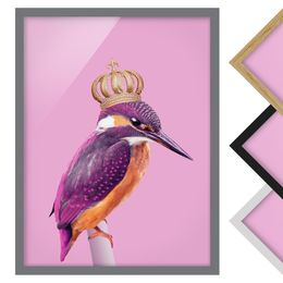 Bilderwelten Bild mit Rahmen - Hochformat Rosa Eisvogel mit Krone