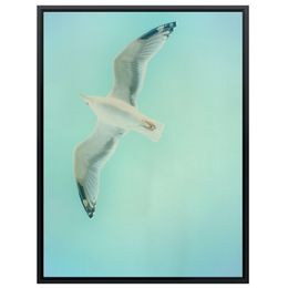 Bilderwelten Leinwandbild Blauer Himmel mit M&ouml;we
