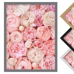Bilderwelten Bild mit Rahmen - Hochformat Rosen Ros&eacute; Koralle Shabby