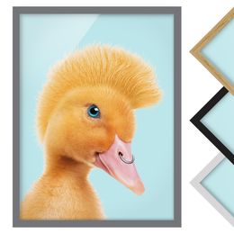 Bilderwelten Bild mit Rahmen - Hochformat Küken mit Piercing