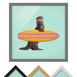 Bilderwelten Bild mit Rahmen - Quadrat Otter mit Surfbrett