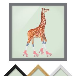 Bilderwelten Bild mit Rahmen - Quadrat Giraffe mit Rollschuhen