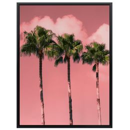 Bilderwelten Leinwandbild Palmen vor Himmel Rosa
