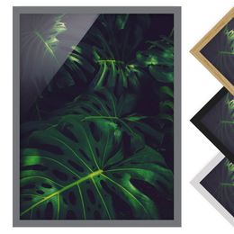 Bilderwelten Bild mit Rahmen - Hochformat Monsteradschungel