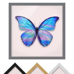 Bilderwelten Bild mit Rahmen - Quadrat Holografischer Schmetterling