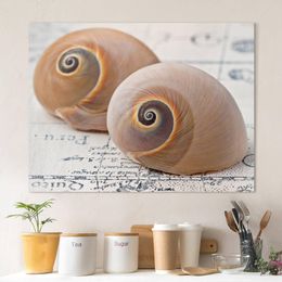 Bilderwelten Leinwandbild Muschelduo